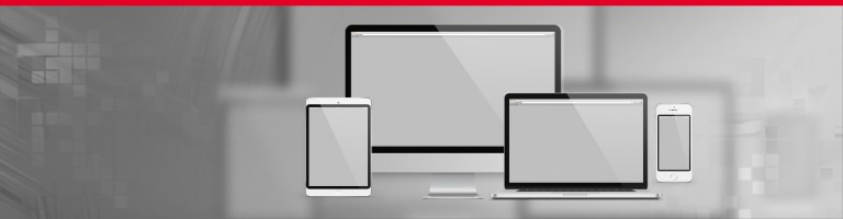 Citrix VM - Hitachi Security Business Group